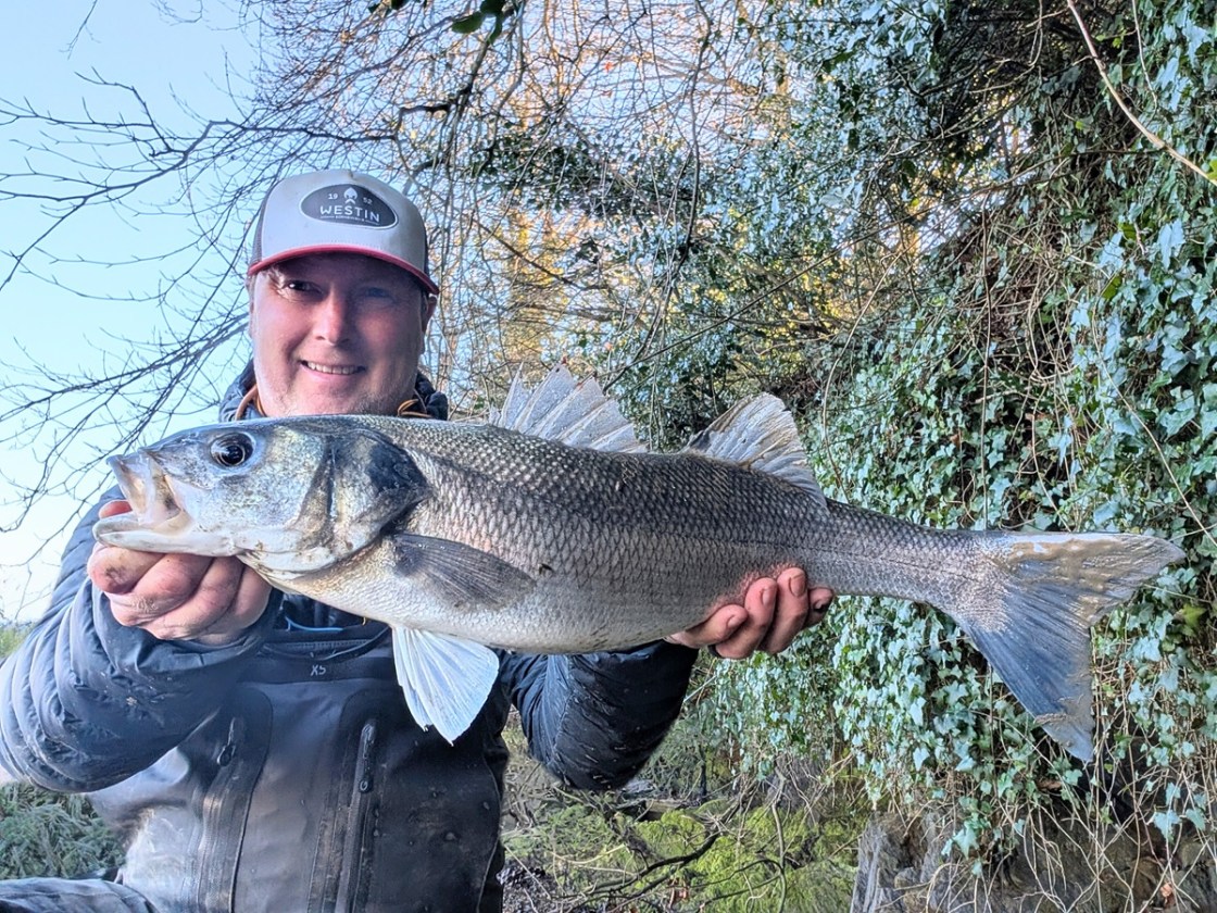 Marc Cowling – Bass Lure Fishing – Founder, Owner, and Professional ...