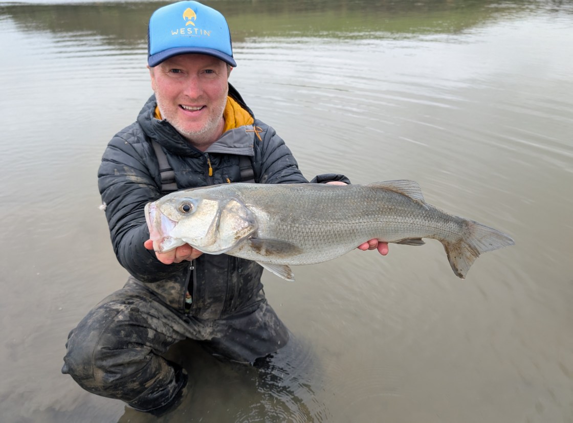 Marc Cowling – Bass Lure Fishing – Founder, Owner, and Professional ...