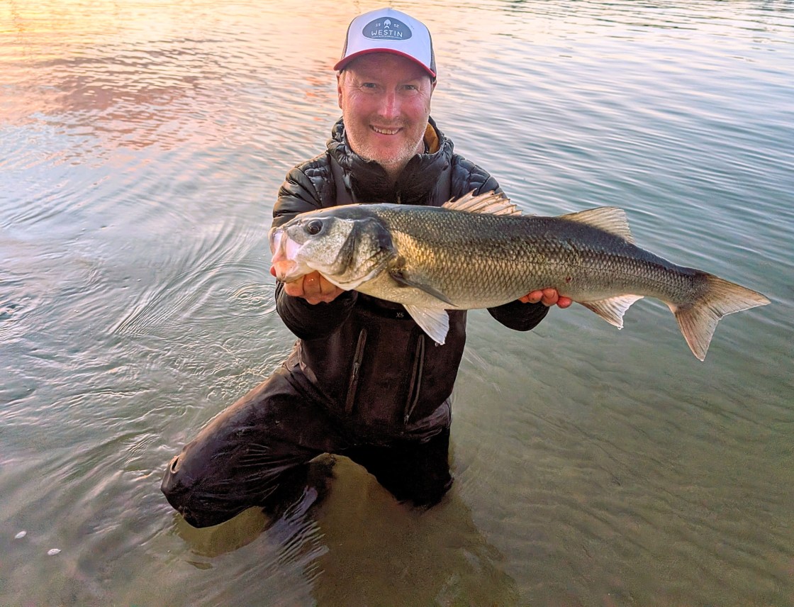Marc Cowling – Bass Lure Fishing – The 'Definitive Guide' to catching ...